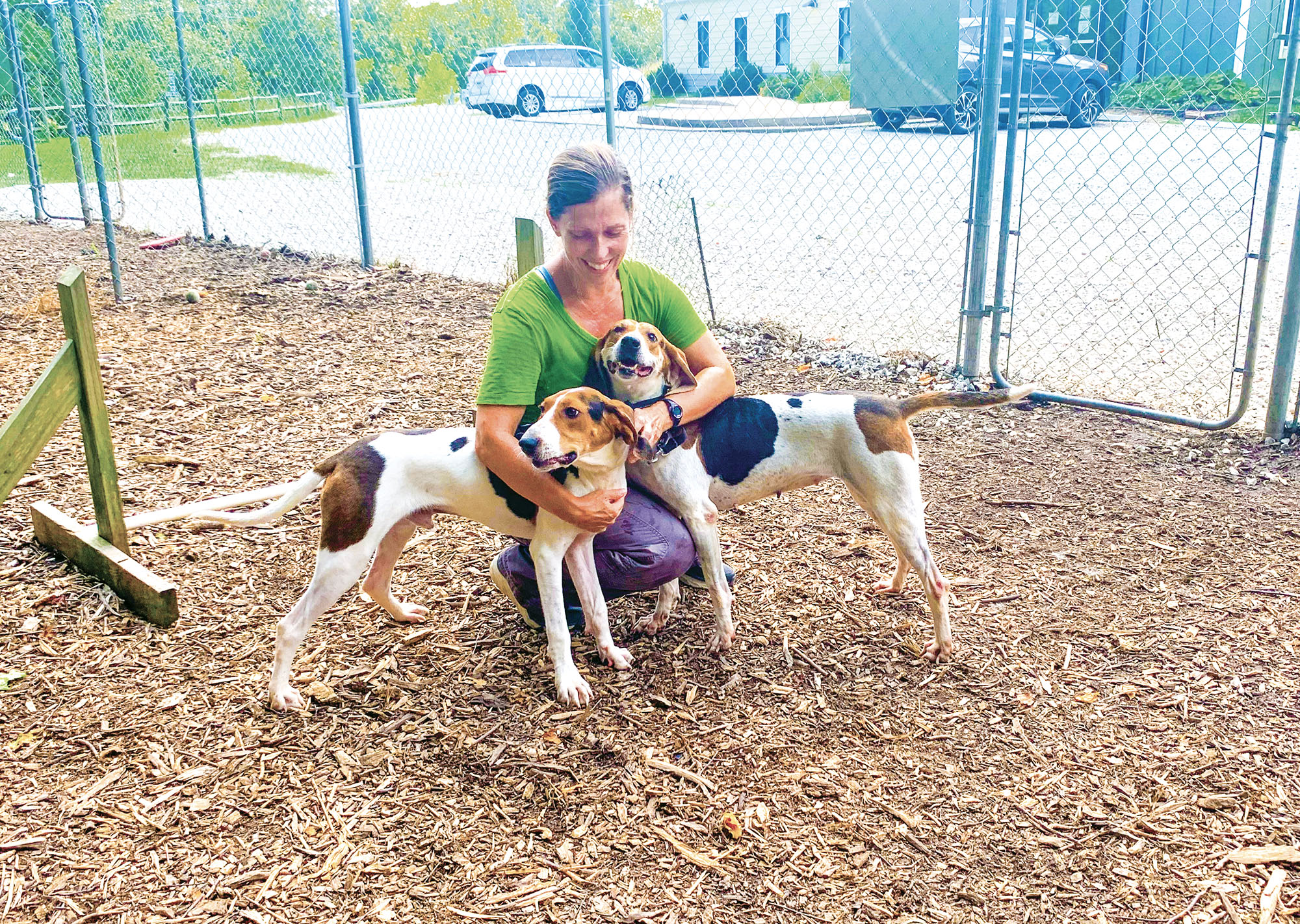 Volunteers Work to Make Shelter Dogs Adoptable - Hurricane Breeze Newspaper