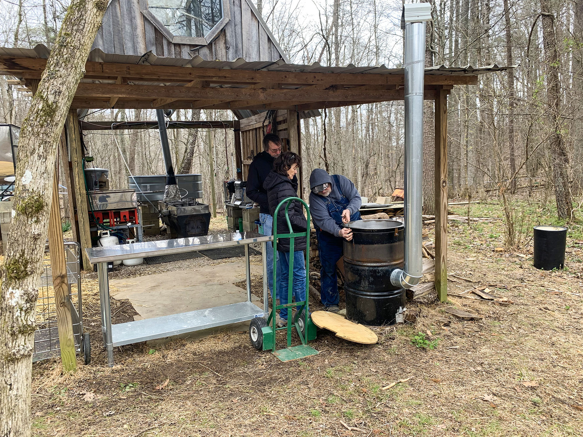 Sour Season for Local Maple Syrup Producers - Hurricane Breeze Newspaper
