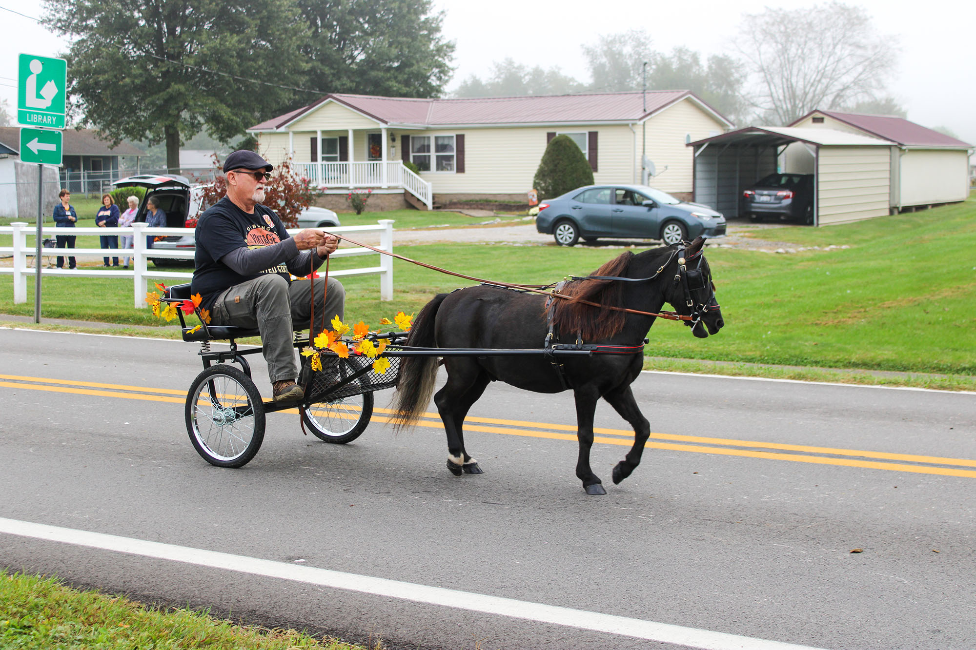 Local Parades: Buffalo All Horse Parade, Poca Fall Festival Parade, and ...